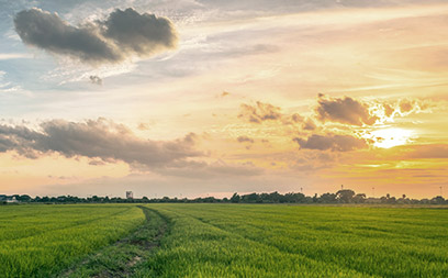 Fujitsu Ireland : Moving forward for a sustainable world