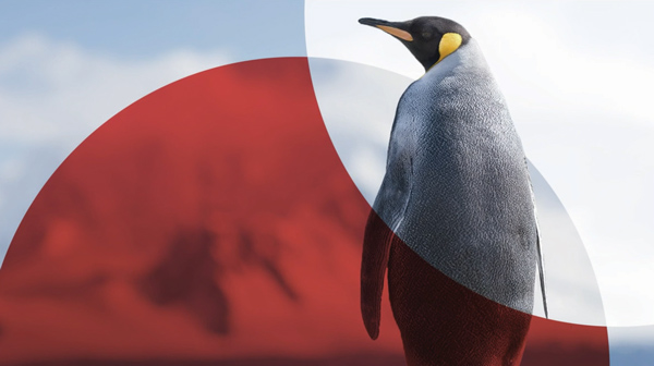 Unlock the Power of SAP S/4HANA with SNP’s BLUEFIELD™ Approach ...