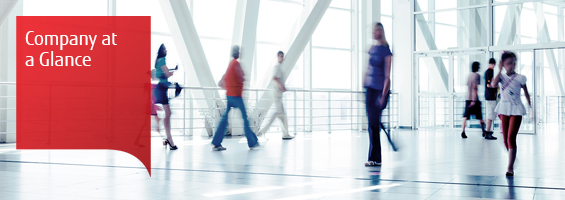 Company at a Glance - Fujitsu United States